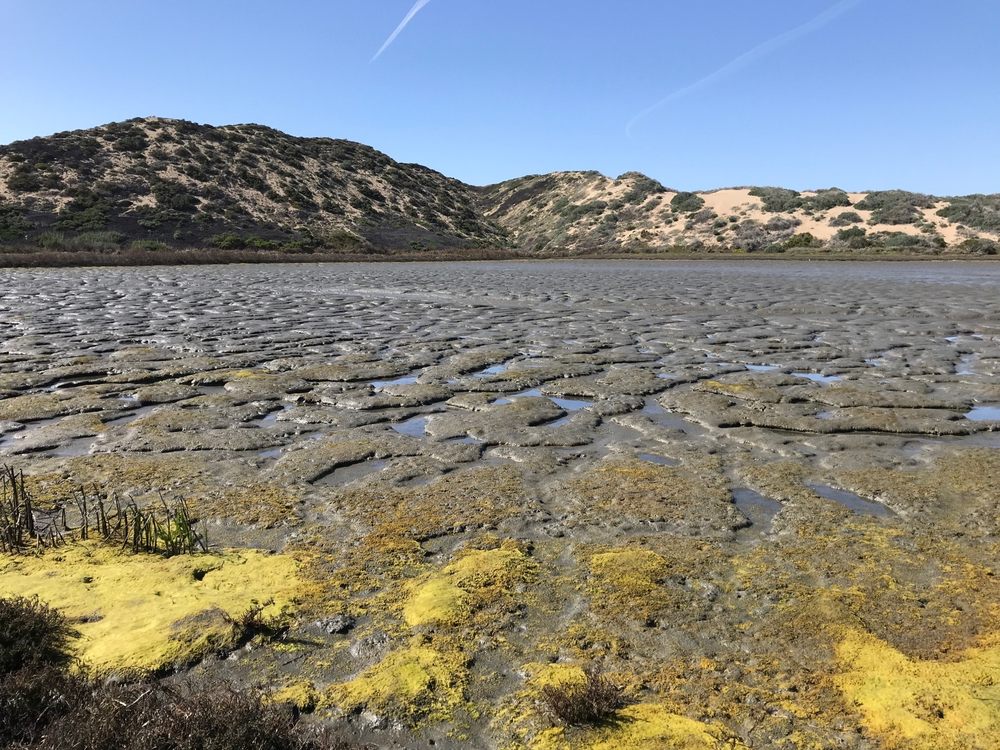 SANDSPIT BEACH - Updated April 2025 - 65 Photos - Rim Trl, Baywood-Los ...
