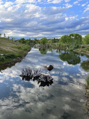 ESTHER SIMPLOT PARK - Updated September 2024 - 79 Photos & 14 Reviews ...