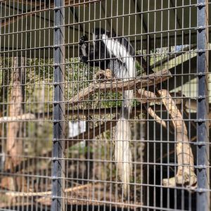 BLUE ZOO - Updated January 2026 - 149 Photos & 31 Reviews - 6401 ...