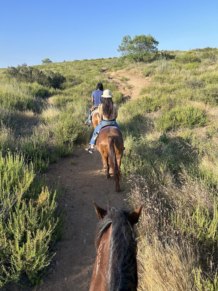 SUSIE Q RANCH - Updated September 2025 - 240 Photos & 198 Reviews ...