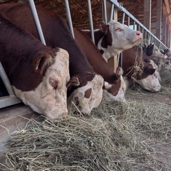 NEEDLE CREEK FARM BREWERY - Updated January 2026 - 47 Photos & 13 ...