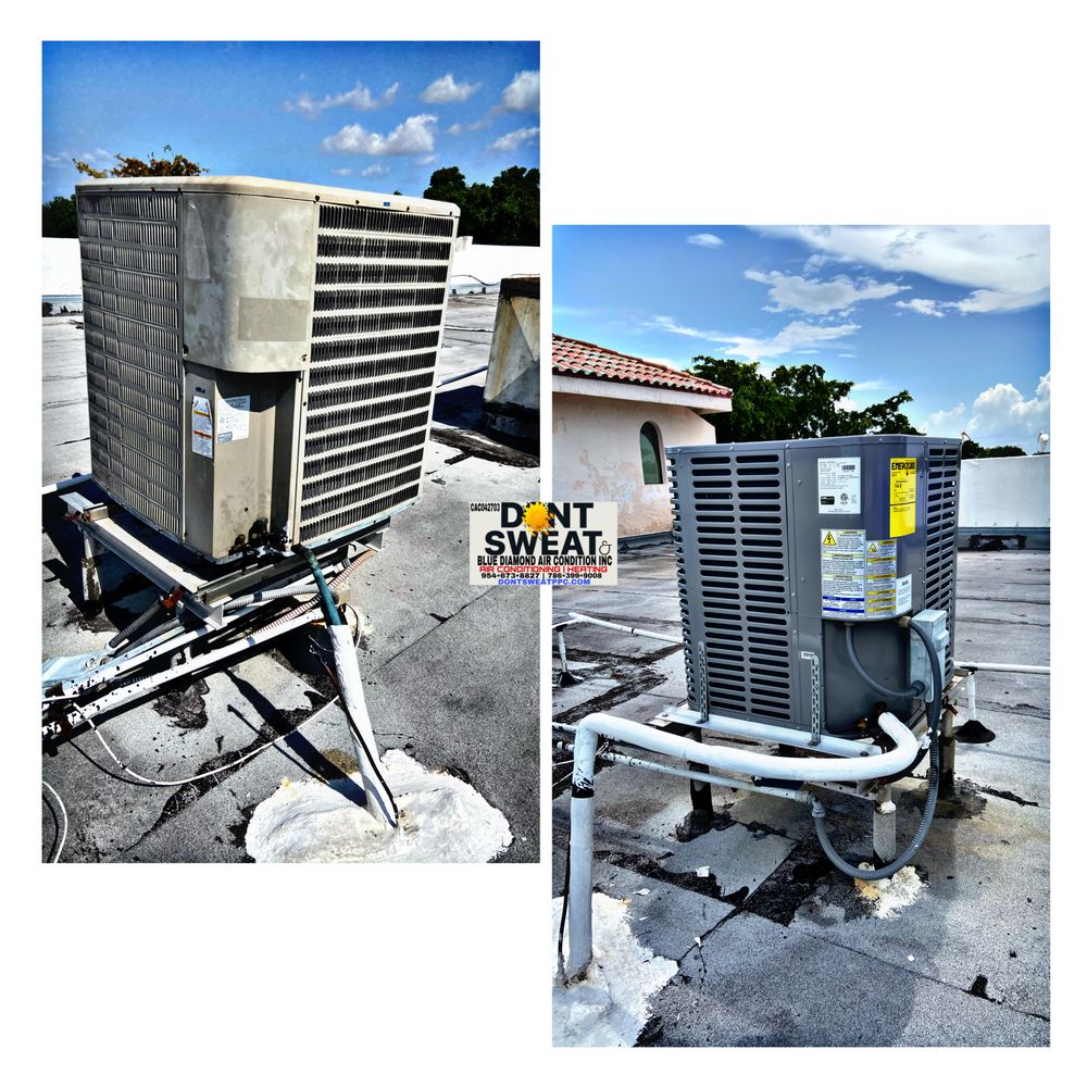 DONTSWEAT & BLUE DIAMOND - Updated May 2024 - 12 Photos - Parkland ...