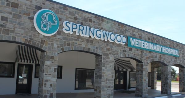SPRINGWOOD VETERINARY HOSPITAL - Updated December 2025 - 30 Photos & 62 ...