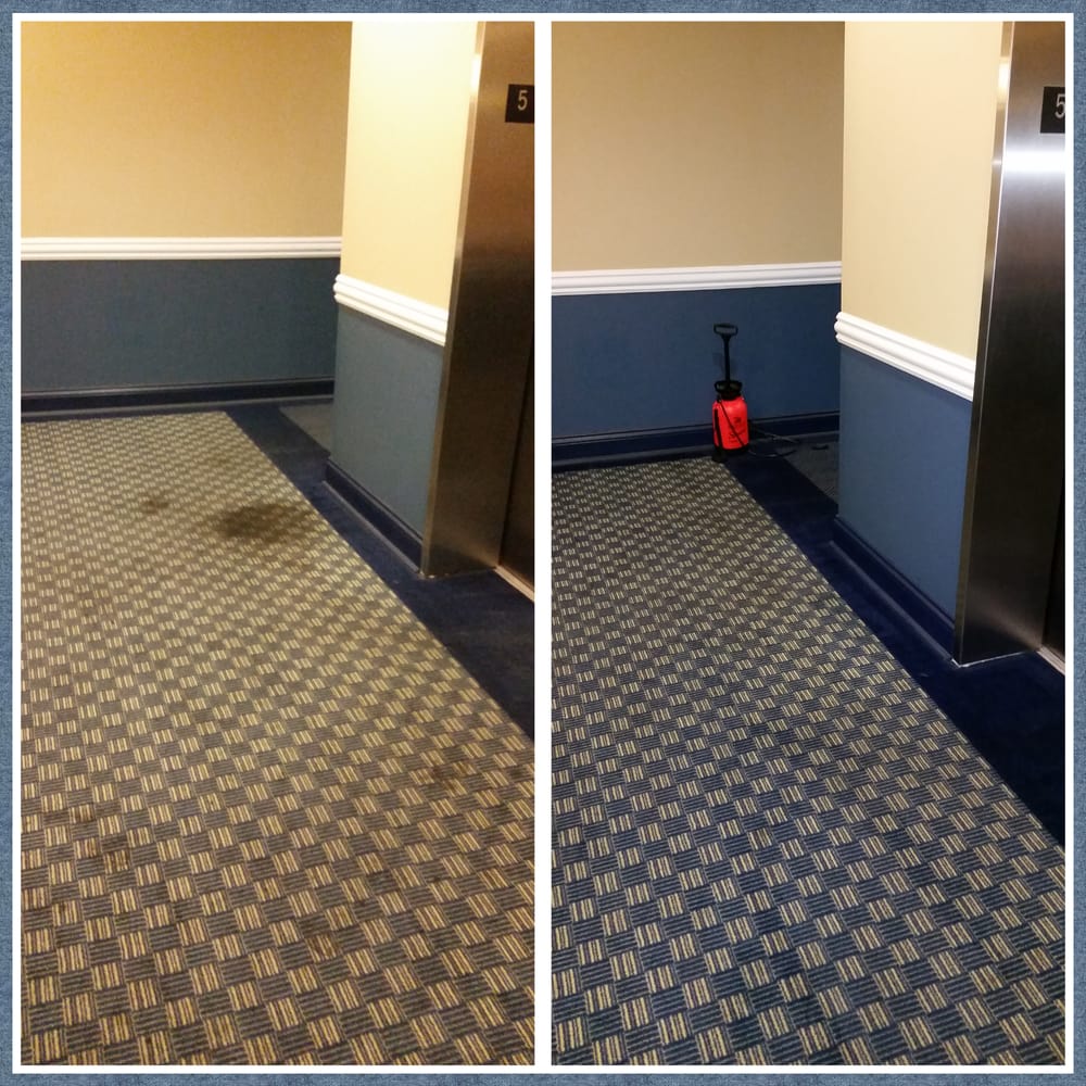 SPEEDKLEEN CARPET AND FLOOR CLEANING - Updated July 2025 - 10 Photos ...