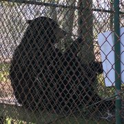 CATTY SHACK RANCH WILDLIFE SANCTUARY - 569 Photos & 149 Reviews - Zoos ...