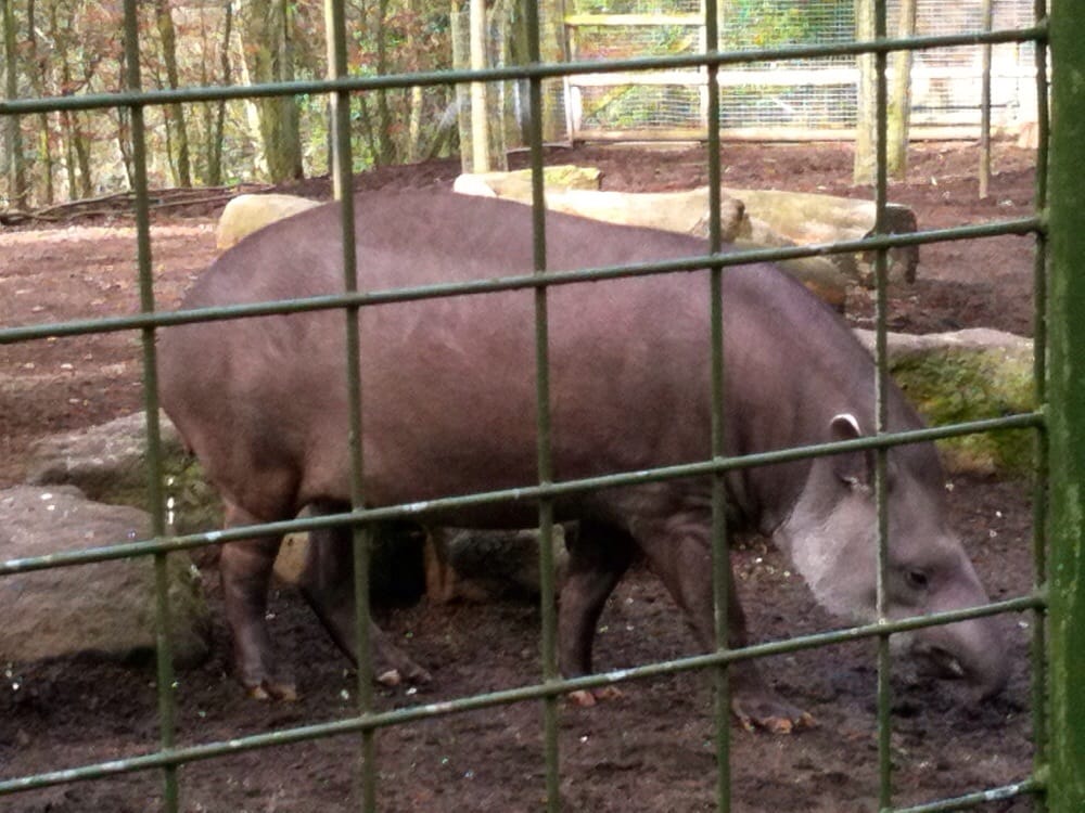 DUDLEY ZOO - 2 The Broadway, Dudley, West Midlands, United Kingdom ...