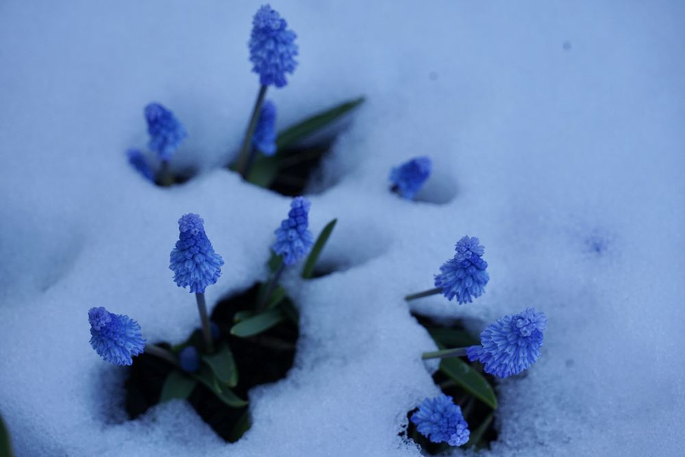 KATHLEEN WHITE PHOTOGRAPHY - Updated December 2025 - Request a Quote ...