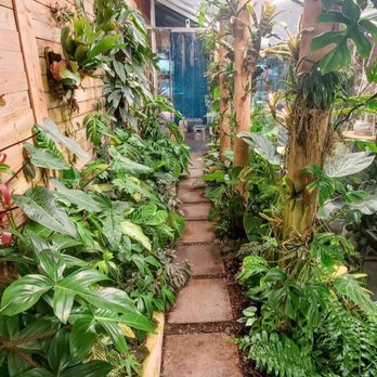 JUNGLE BOX - Updated December 2025 - 140 Photos & 42 Reviews - 1735 E ...