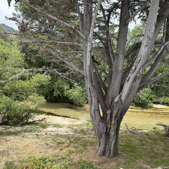 CARMEL RIVER INN - Updated October 2025 - 368 Photos & 255 Reviews ...