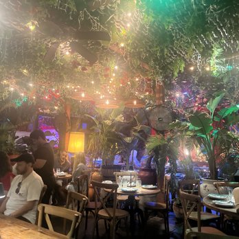 LIQUE MIAMI - Updated January 2025 - 541 Photos & 456 Reviews - 3957 NE ...