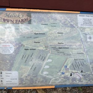 ABMA’S FARM - Updated August 2025 - 282 Amwell Rd, Hillsborough ...