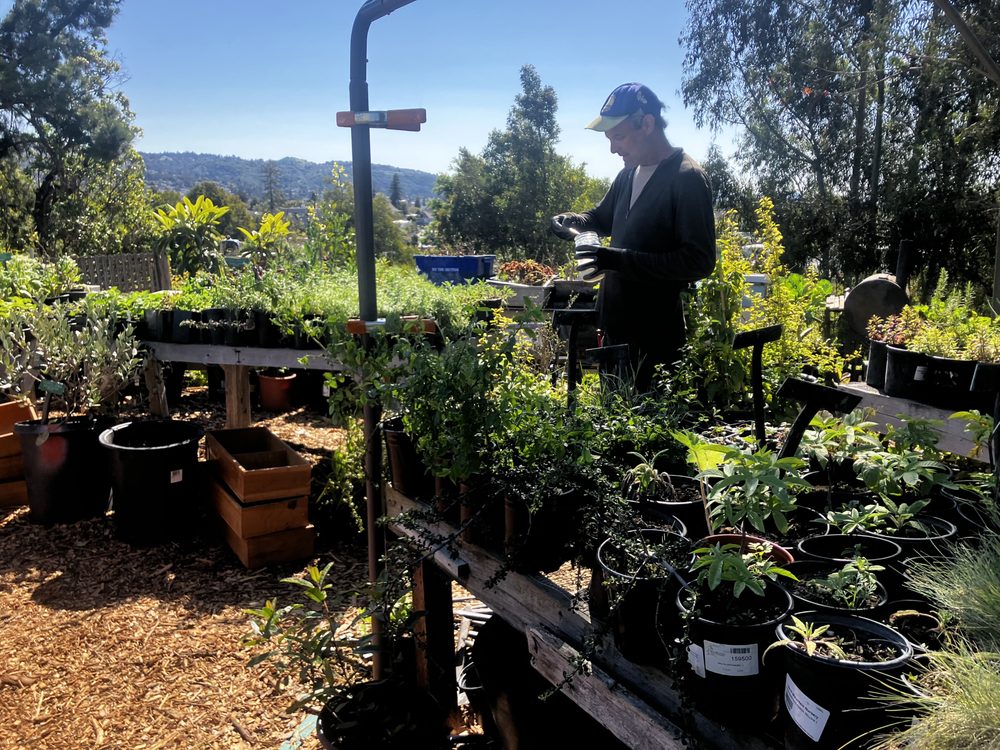 WILDHEART GARDENS - Updated December 2024 - 2860 Mckillop Rd, Oakland, California - Gardeners ...