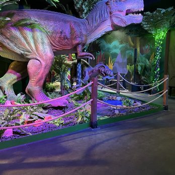 DINOSAUR OUTPOST - Updated May 2025 - 22 Photos & 13 Reviews - 6569 S ...