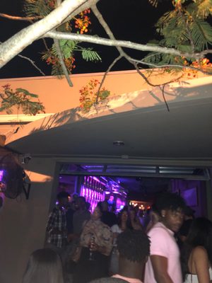 HONEY - 116 Photos & 109 Reviews - 16 E Atlantic Ave, Delray Beach ...