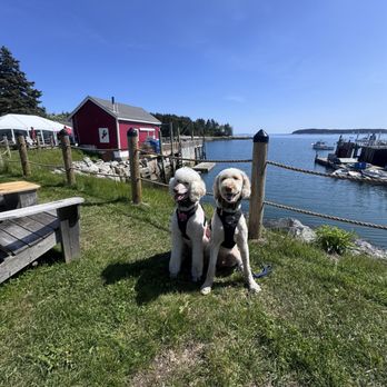 MCLOONS LOBSTER SHACK - Updated April 2026 - 605 Photos & 405 Reviews ...