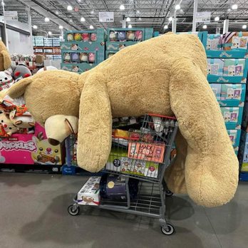 COSTCO - Updated July 2025 - 108 Photos & 10 Reviews - 8094 Hwy 72 W ...