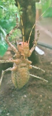 VICTORIA BUG ZOO - Updated December 2025 - 130 Photos & 123 Reviews ...