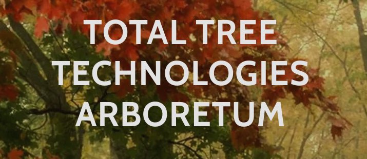 TOTAL TREE TECHNOLOGIES ARBORETUM - Updated June 2025 - 7 N Lakeview Dr ...