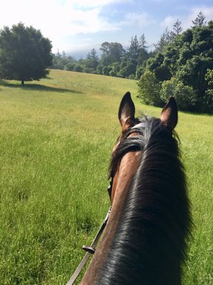 CHAPARRAL TRAIL RIDES AT FOLGER’S STABLE - 13 Photos - Parks - 4040 ...