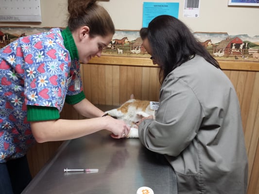 PATTERSON VETERINARY HOSPITAL - MASON - Updated October 2025 - 35 ...