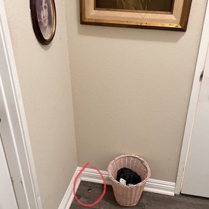 MORNINGSIDE OF FULLERTON - 28 Photos & 16 Reviews - 800 Morningside Dr ...