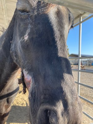 KYLE CANYON RANCH - Updated May 2025 - 82 Photos & 12 Reviews - 13820 ...