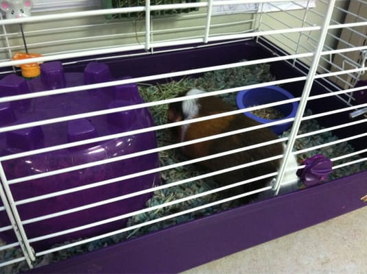 LAKE HAZEL BRANCH LIBRARY - Updated October 2025 - 12 Photos - 10489 ...