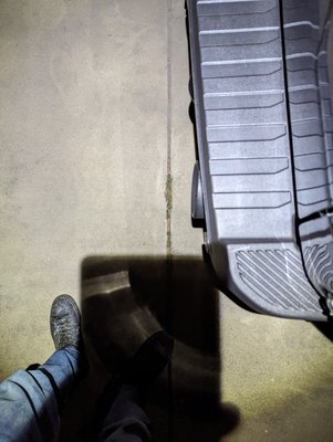 LEMON SQUAD - Updated October 2025 - 93 Photos & 380 Reviews - Los ...