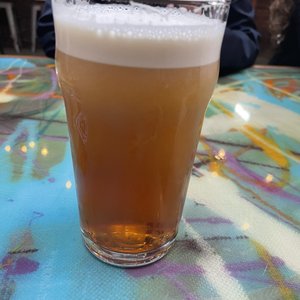 TOPA TOPA BREWING COMPANY - 267 Photos & 228 Reviews - 104 E Thompson ...