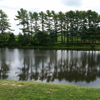 PONDUCE FARMS - Updated December 2025 - 40 Photos - 270 White Church Rd ...