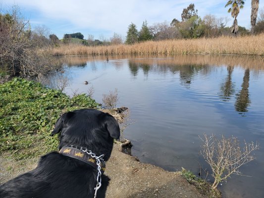 NEWHALL COMMUNITY PARK - Updated June 2025 - 220 Photos & 96 Reviews ...