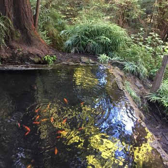 POGONIP - Updated October 2025 - 234 Photos & 42 Reviews - 333 Golf ...