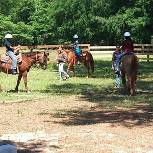 PINE COVE - Updated August 2025 - 14 Photos - 15790 County Rd 1113 ...