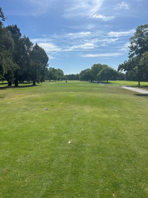 BING MALONEY GOLF COURSE - Updated August 2025 - 118 Photos & 113 ...