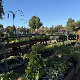 ALDEN LANE NURSERY - Updated December 2025 - 430 Photos & 235 Reviews ...