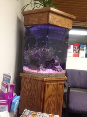 FIROZ SHEIKH, MD - Updated December 2025 - 41 Reviews - 4644 Lincoln ...