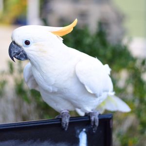 LAFAYETTE VILLAGE - Updated October 2025 - 203 Photos & 49 Reviews ...