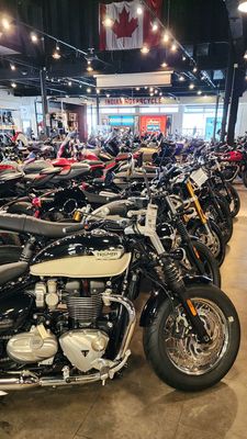 INTERNATIONAL MOTORSPORTS MOTORCYCLE COMPANY - 11 Photos - 3059 ...