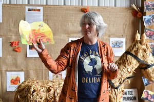 FAIRVIEW FUN FARM - Updated October 2025 - 316 Fairview Rd, Luray ...