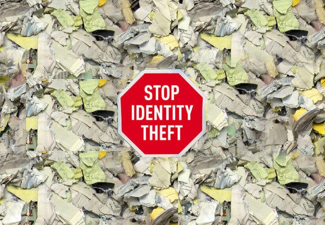 SHRED MONKEY - Updated December 2025 - 17 Photos - 2364 N Butler Ave ...