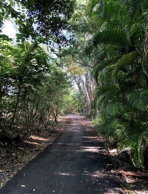 COVERED BRIDGE PARK - Updated April 2025 - 25 Photos - 6031 Holmberg Rd ...