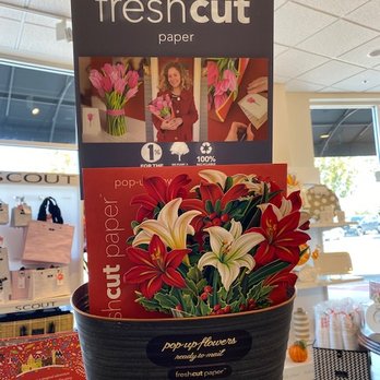 MOON MIPPY - Updated December 2025 - 23 Photos - 10003 NW Military Hwy ...