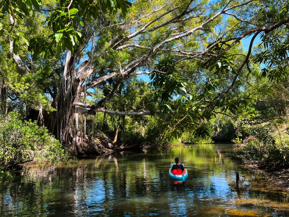 MUST SEE FLORIDA PADDLE TOURS - Updated October 2025 - 67 Photos - Fort ...