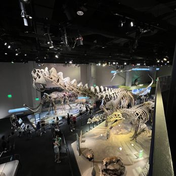 PEROT MUSEUM OF NATURE AND SCIENCE - Updated December 2024 - 2352 ...