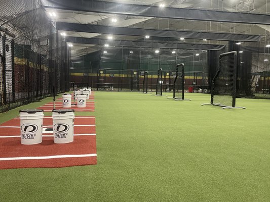 D BAT BLOOMFIELD - Updated December 2025 - Request a Quote - 62 Douglas ...