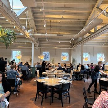 KALAYA - Updated December 2024 - 1500 Photos & 402 Reviews - 4 W Palmer ...