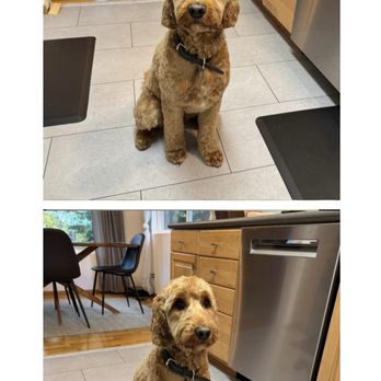 REBER RANCH - Updated October 2025 - 134 Photos & 226 Reviews - 28606 ...