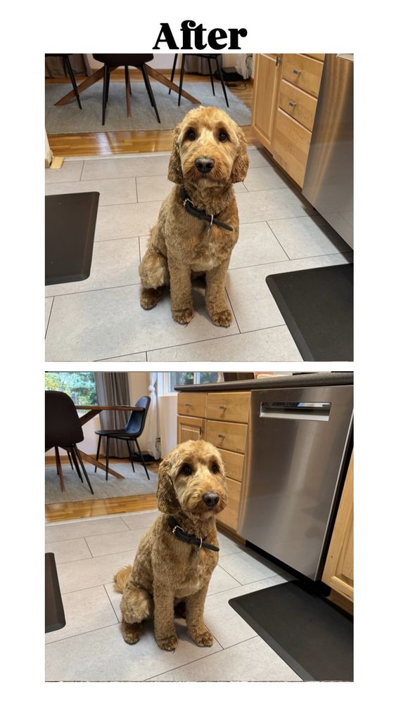 REBER RANCH - Updated October 2025 - 134 Photos & 226 Reviews - 28606 ...