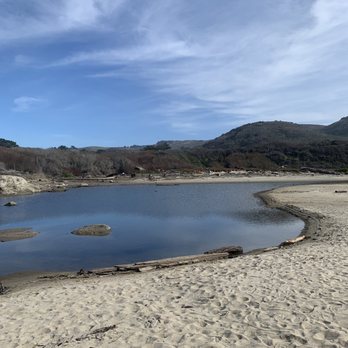 SAN GREGORIO STATE BEACH - Updated December 2025 - 416 Photos & 97 ...
