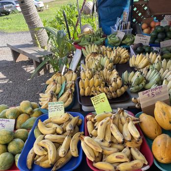 KUILIMA FARM - Updated October 2025 - 63 Photos & 19 Reviews - 57-146 ...